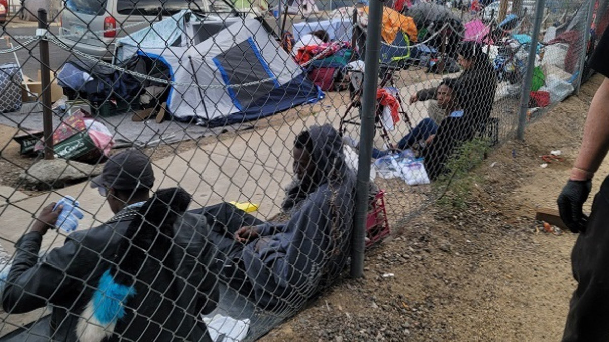 A Wasteland of Corpses, Living and Dead: A Devastating Inside Look at ...